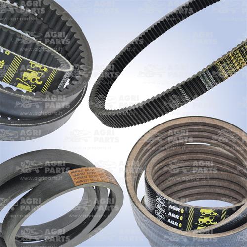 BELT - Agri Parts Italy - Agri Parts Italy